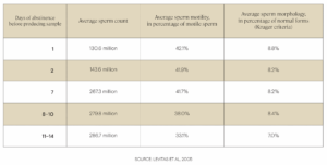 Masturbation & testosterone | How does masturbating affect T levels?