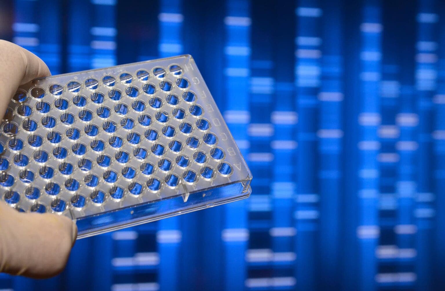 Genetic testing vs. carrier testing vs. karyotype testing | Legacy