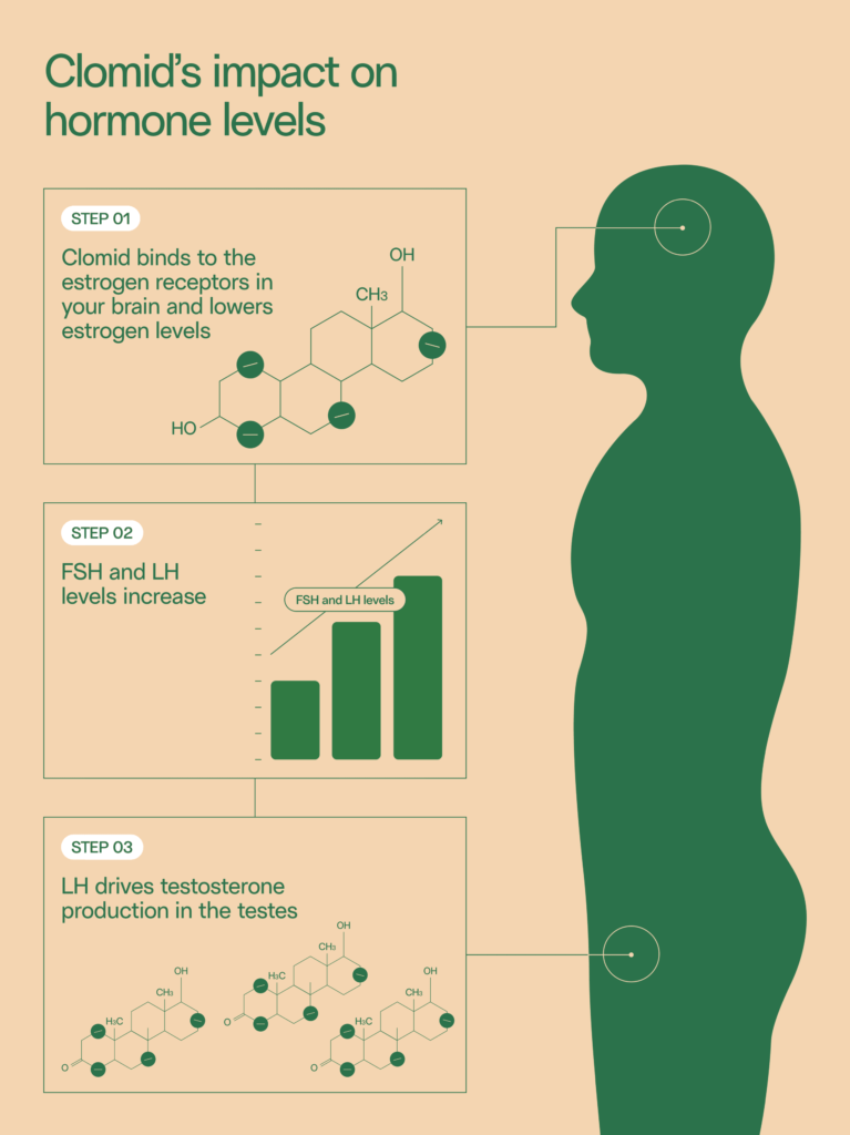Is Clomid a performance-enhancing drug? Clomid for low T and male ...