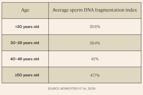 Guide to Sperm DNA Fragmentation & Testing | Legacy