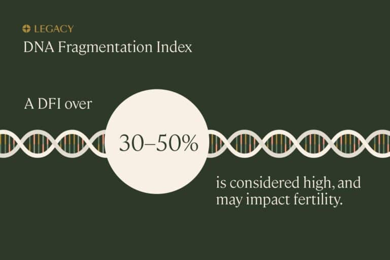 Guide to Sperm DNA Fragmentation & Testing | Legacy