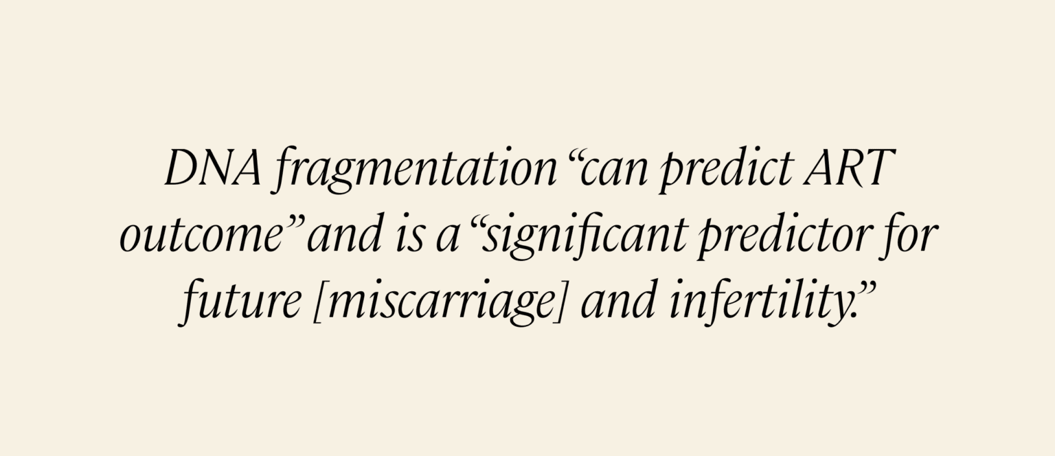 Guide to Sperm DNA Fragmentation & Testing | Legacy