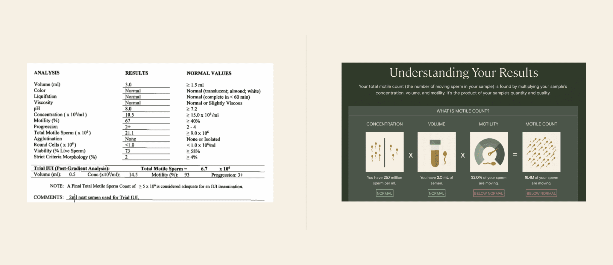Guide to Sperm Testing & Semen Analysis | Legacy