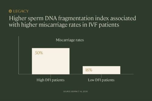 Guide to Sperm DNA Fragmentation & Testing | Legacy