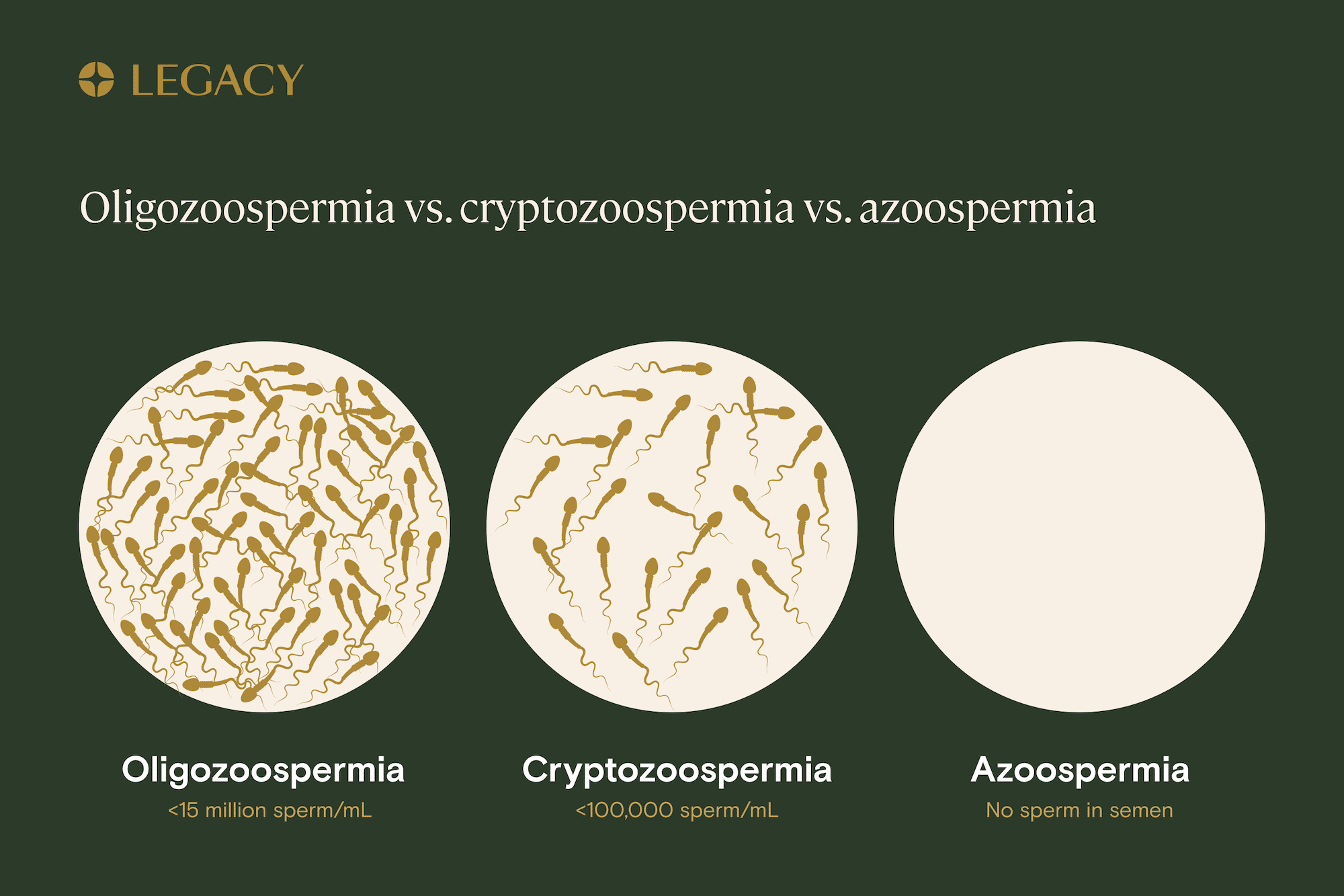 The importance of the vas deferens | Legacy